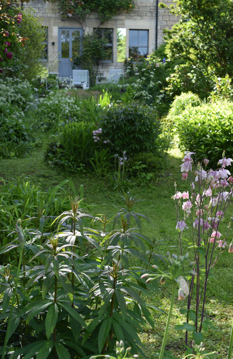 Breeze Garden Design - Bug Friendly Garden, Bath