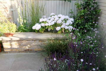 Breeze Garden Design - Diagonal Garden Design, Ealing, West London