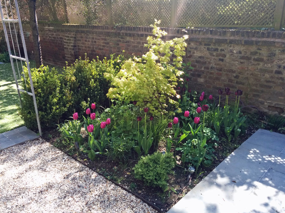Breeze Garden Design - Town Garden, Camden, London